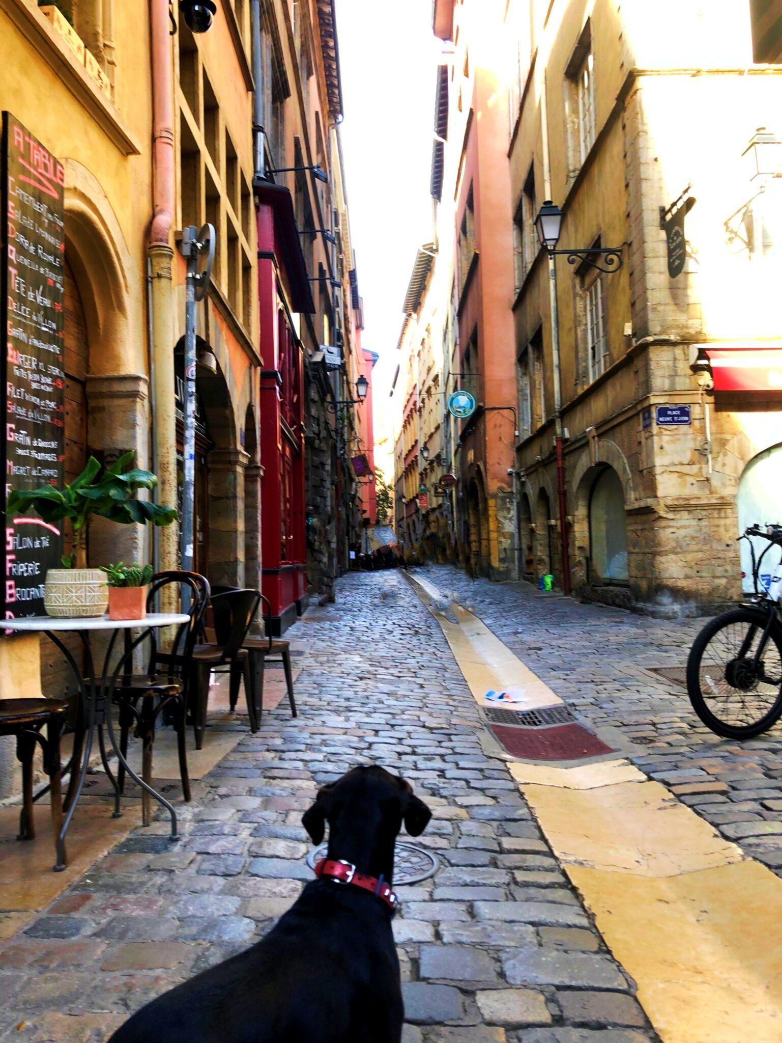Lyon in Winter: The Complete Bucket List you NEED
